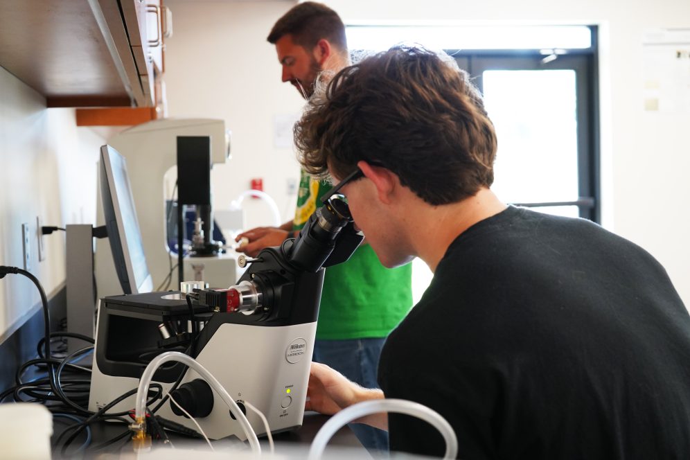 Laboratory Tours | Stevenson University