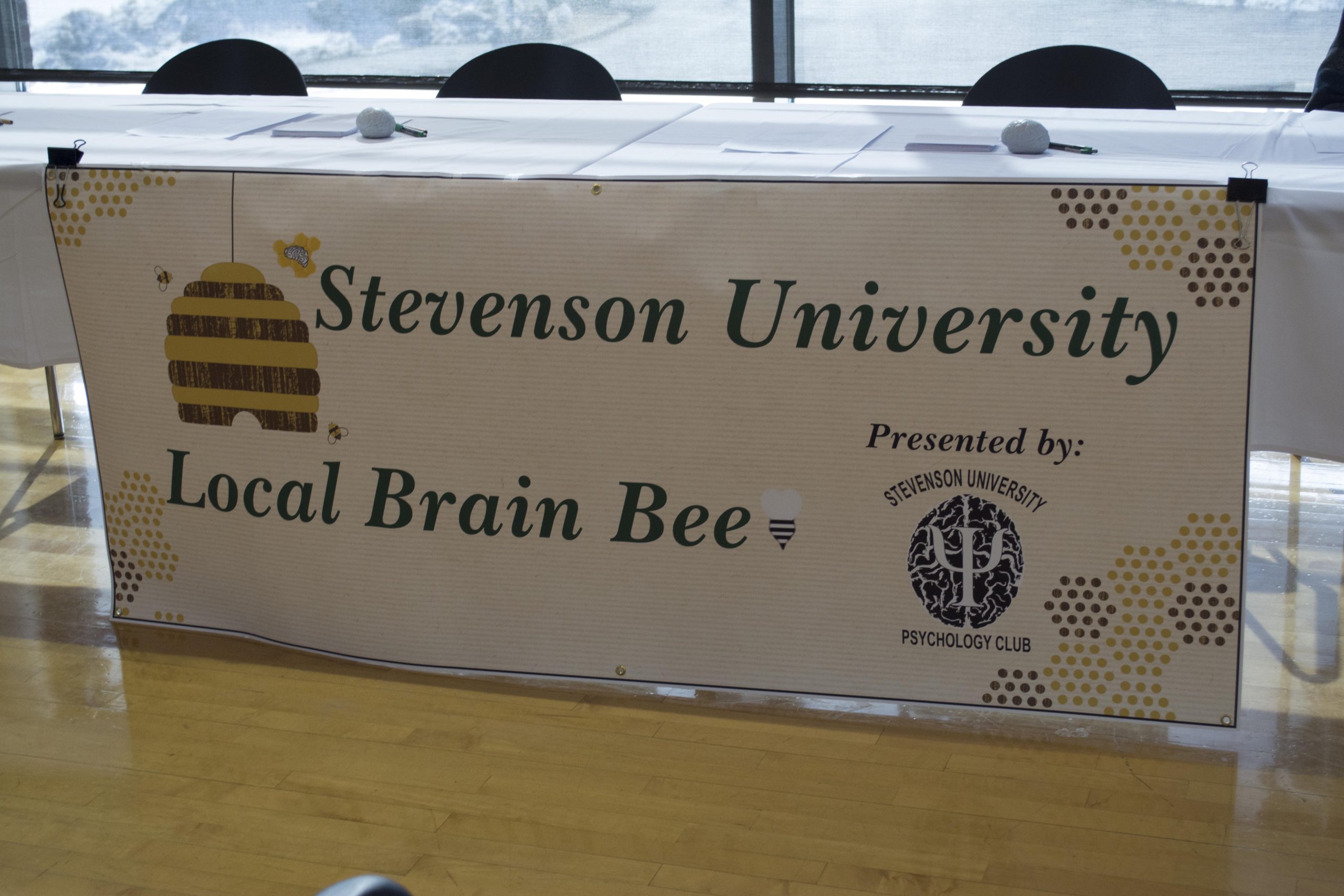 brain bee Archives | Stevenson University