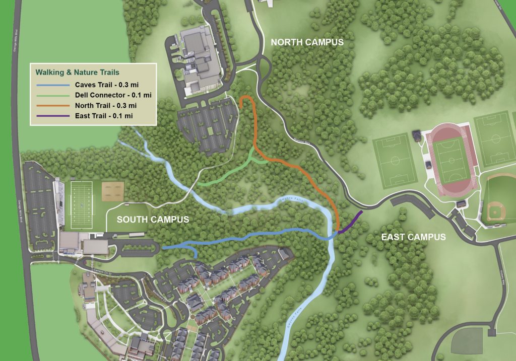 Take a Hike—or Stroll!—on Stevenson’s Campus Trails | Stevenson University